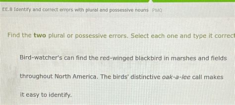Solved Ee8 Identify And Correct Errors With Plural And Possessive