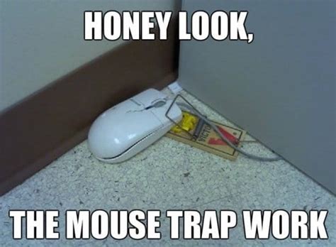 Funny Meme Pictures Mouse Trap Memes Viral Viral Videos