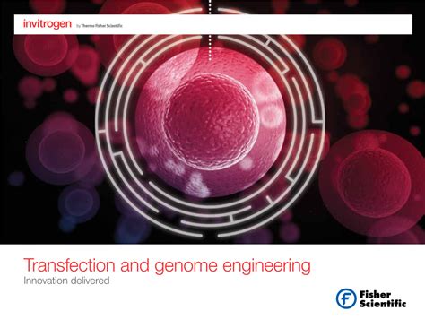 Transfection And Genome Engineering Innovation Delivered Transfection