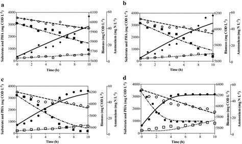 Profiles Of Measured Filled Circle And Modeled Thick Solid Line