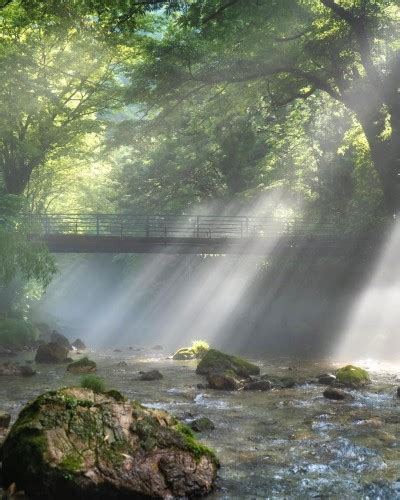 Misty Sunlight Yamagata Japan Tumbex