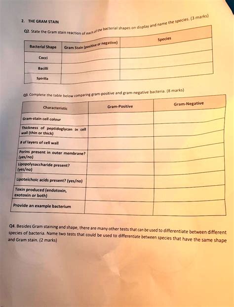 Solved The Gram Stain Species Bacterial Shape Gram Stain Positive Or Negative Cocci Bacilli