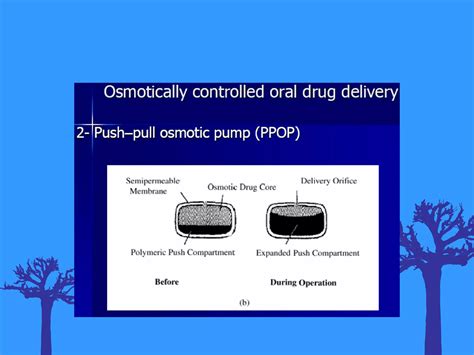 Osmotic Pump Evaluation Ppt