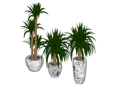 Textured Indoor Decorative Plants In Skp Cad 1442 Mb Bibliocad