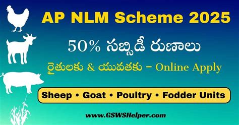 Ap Nlm Scheme రైతులు And యువతకు 50 సబ్సిడీ రుణాలు Online Apply Guide