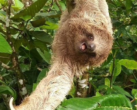 Laberinto De Katira Qué Saber Antes De Ir 2025