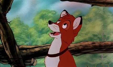 Tod Fox Spongebob And Friends Adventures Wiki Fandom Powered By Wikia