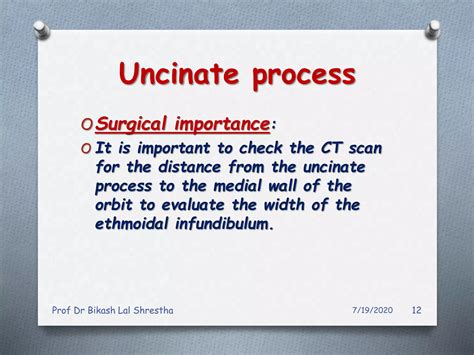 All About Uncinate Process Of Nose And Paranasal Sinuses Pptx