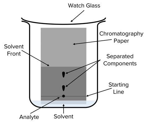 Paper Chromatography Diagram
