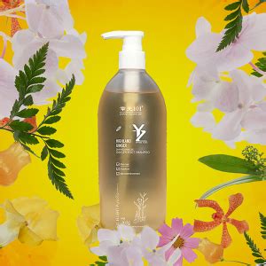 Unlock Your Hair's Potential: Explore Our Range of Premium Hair Care ...