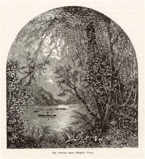 Potomac River Landscape Arched Forest Scene With Canoe And Dense