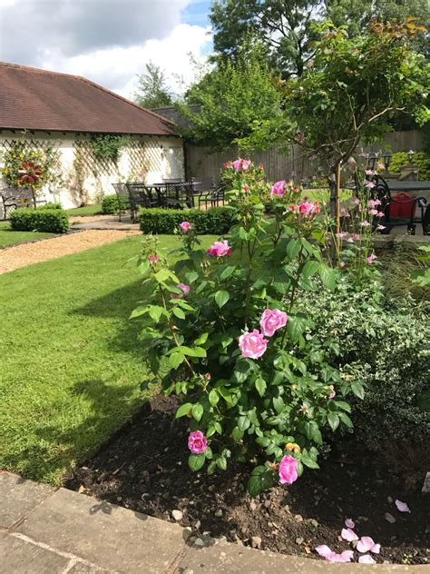 Sonya Shellard On Linkedin Gratitude Alertness Notice Coaching Reflection 25 Comments