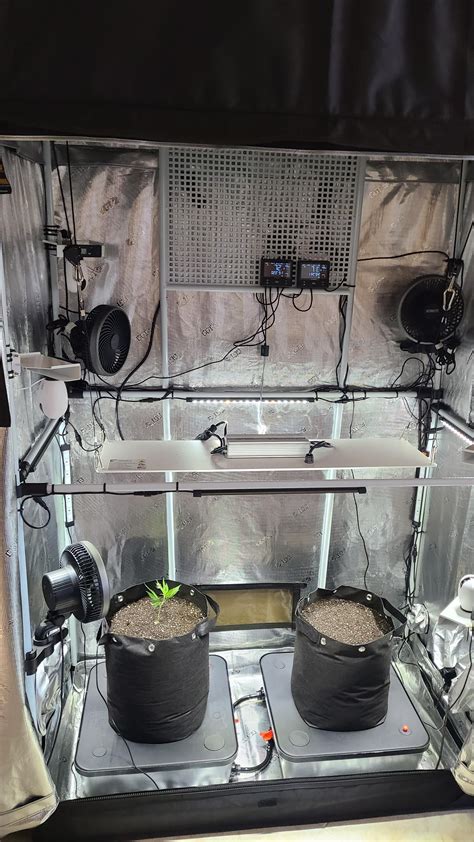 My Aci Setup Racinfinityadvancegrow