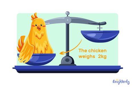 Kilogram In Math Definition And Examples