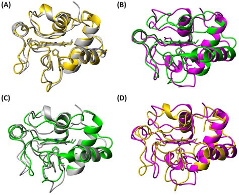 Upon Overlaying Cα Atoms In Second Structural Region And Heme Backbone
