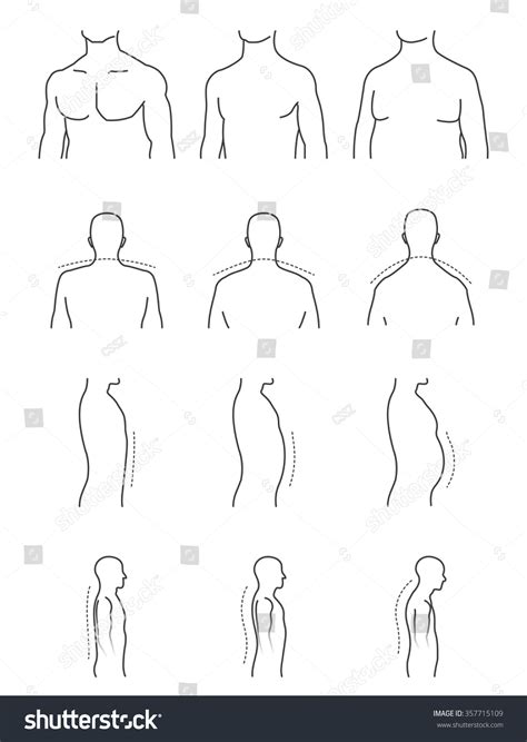 Male Body Types Chart