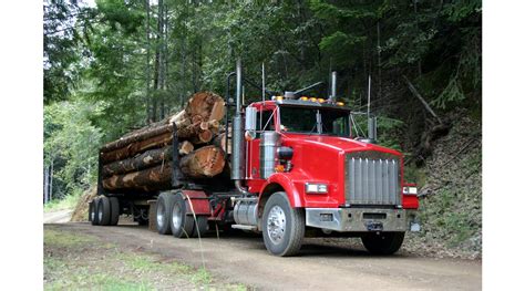 Traffic Engineering Software Roads And Bridges