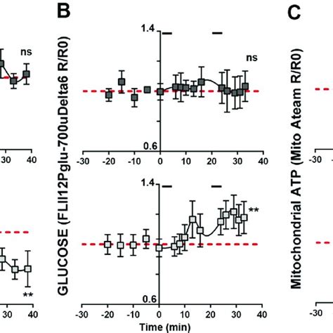 Mutant Mice Axons Display An Altered Metabolic Response To Electrical