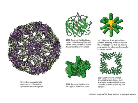 Chemistry Nobel Awarded For 3d Protein Design Prediction Work Bioworld