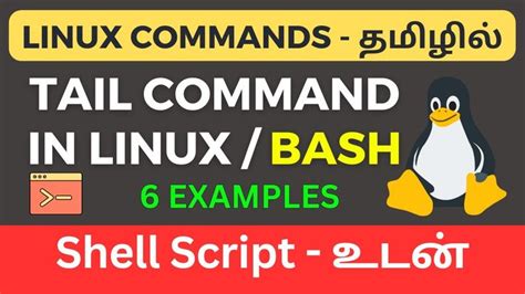 Tail Command In Linux Shell Script விளக்கமும்