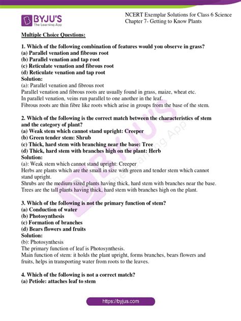 Ncert Exemplar Solutions For Class 6 Science Ch 7 Pdf Leaf Flowers