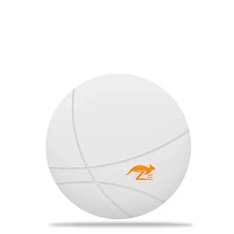 Ze Access Point At Best Price In Mumbai By Wintech Bharat Private