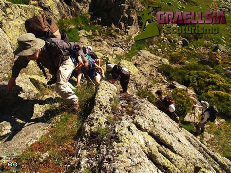 Cuaderno De Campo De Graellsia Ecoturismo Trekking Sierra De Gredos