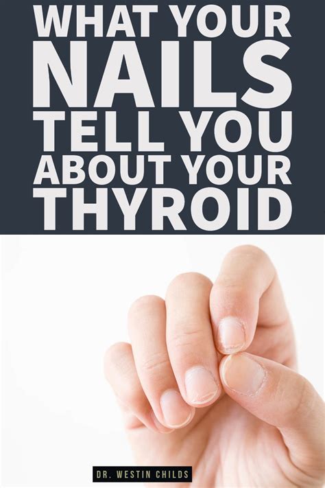 Brittle Nails And Thyroid Function At Tom Wildes Blog