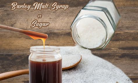 Barley Malt Syrup Vs Sugar Which Is Better The Coconut Mama
