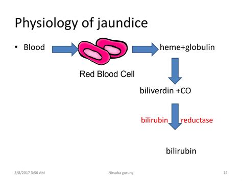 Physiological Jaundice Pptx