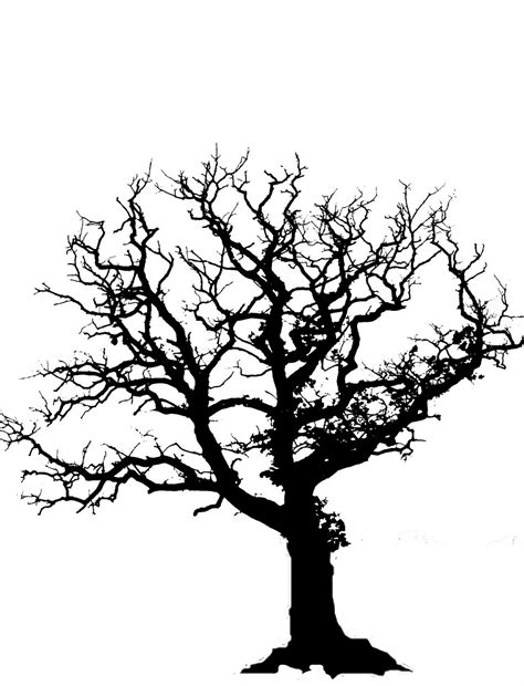 Tree Silhouette Clip Art