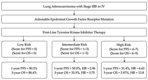 Flow Chart Illustrating The Potential Utility Of The Prognostic Scoring