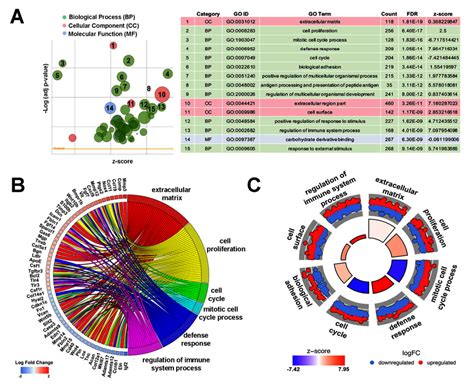 Pathway Analysis Identifies Diverse Key Biological Processes