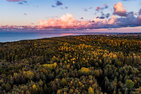 About Capture Estonia Nature And Photography Tours