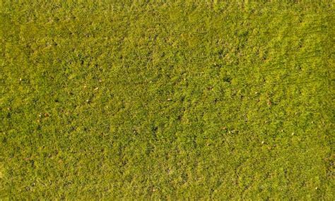 Page 7 Grass Texture Top View Images Free Download On Freepik