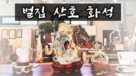 희귀 광물 소개 벌집 산호 화석 Youtube