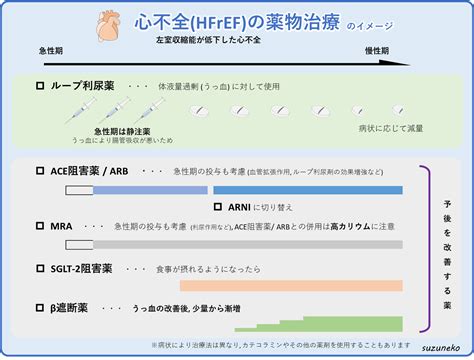 心不全hfref治療薬の使用のイメージ 循環器内科すずねこのブログ