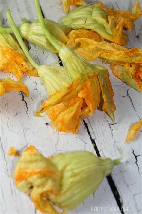 Squash Blossom Soup Crema De Flor De Calabaza
