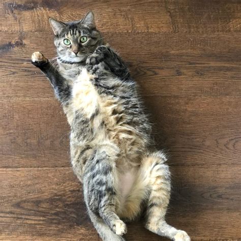 Caleb Cooper Youtube