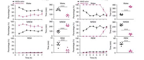 【客户文章】《nature Neuroscience》vta中gaba能和谷氨酸能神经元对觉醒和睡眠的调节机制 知乎