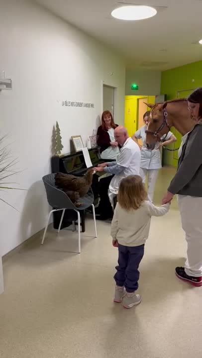 Delphine Le Prince On Linkedin 💐