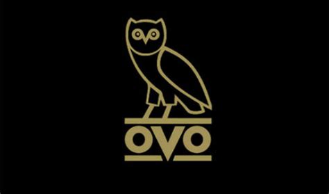 Wallpaper Ovo Owl