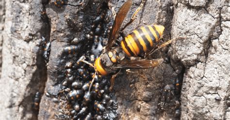 Q 指数関数の注意点2｜高橋泰城（たかはしたいき）