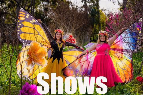 Festivals Eco Faeries