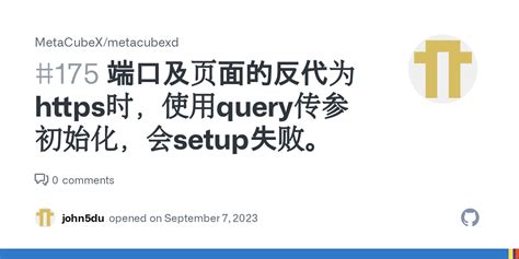 端口及页面的反代为https时使用query传参初始化会setup失败 Issue MetaCubeX metacubexd GitHub