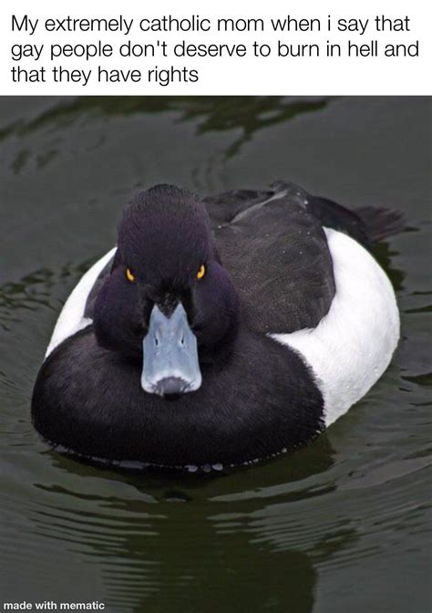 I Dont Know Just My Opinion Could Be Wrong Rmemes