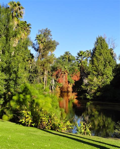 Danger Garden My Visit To The Los Angeles County Arboretum And Botanic