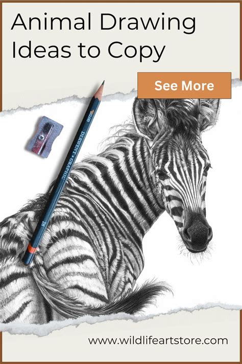 7 Best Animal Drawings Cool Drawing Ideas And Tips Artofit