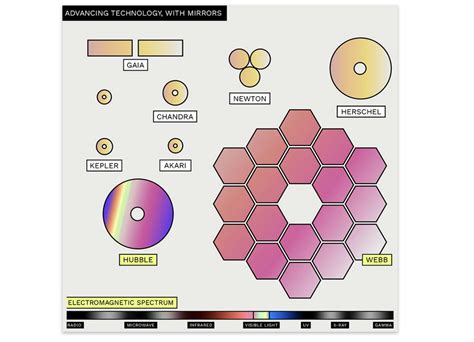 Types Of Shapes In Illustrator Adobe Illustrator Shapes Ucbm