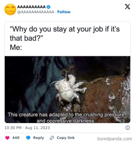 50 Hilariously Cursed Memes Collected By This Page Bored Panda